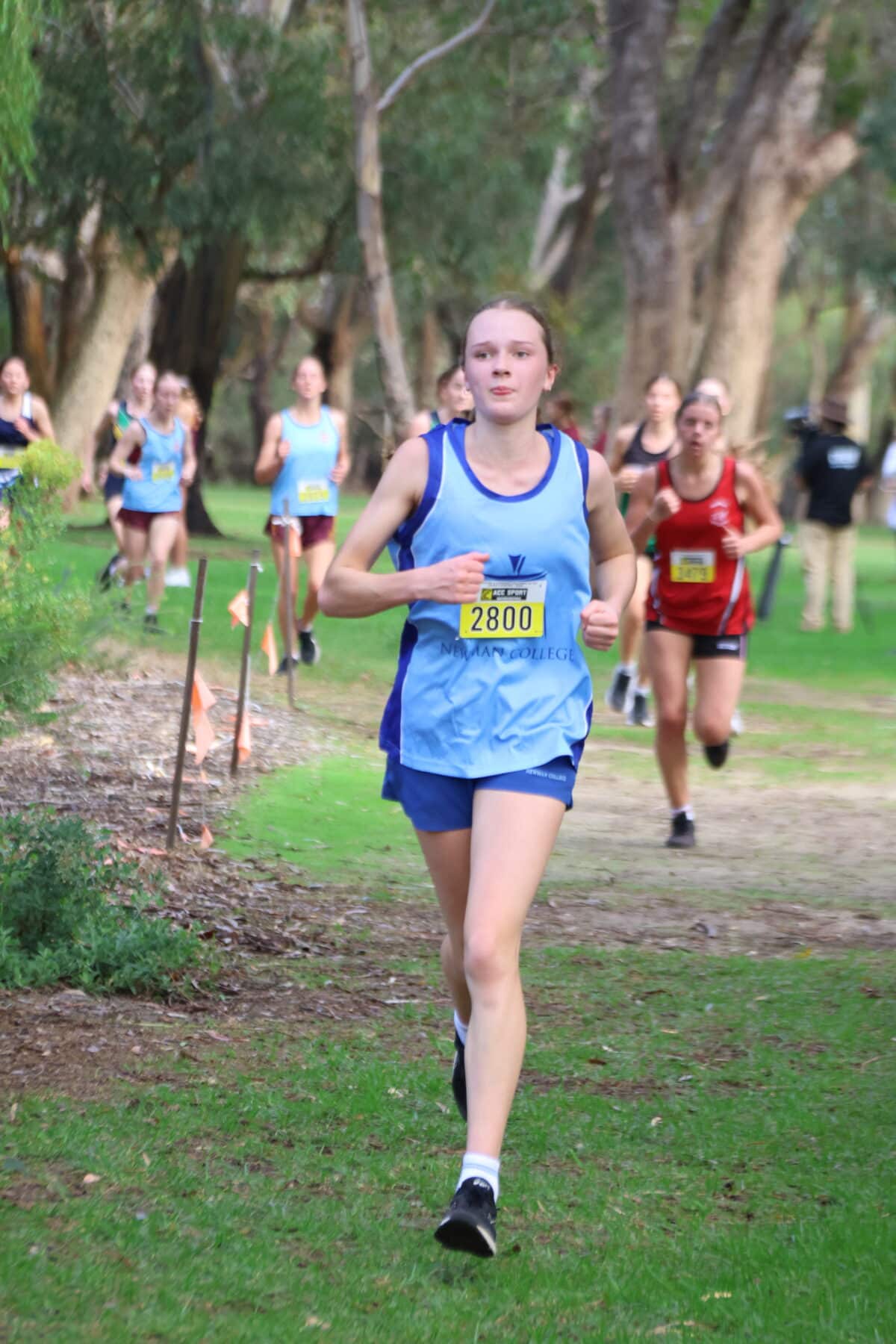 Secondary Update - Term 2 Week 6 - Newman College