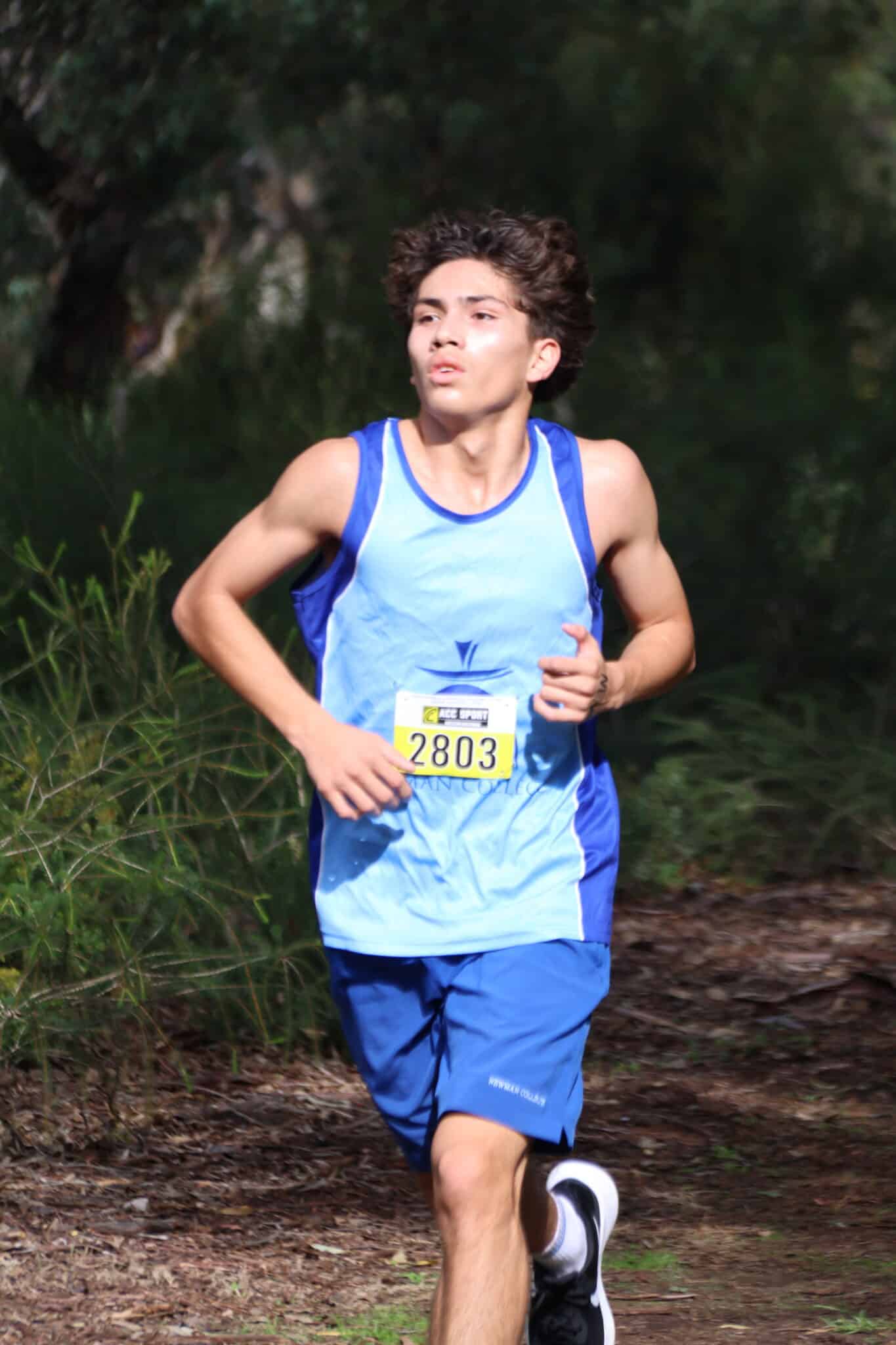 Secondary Update - Term 2 Week 6 - Newman College