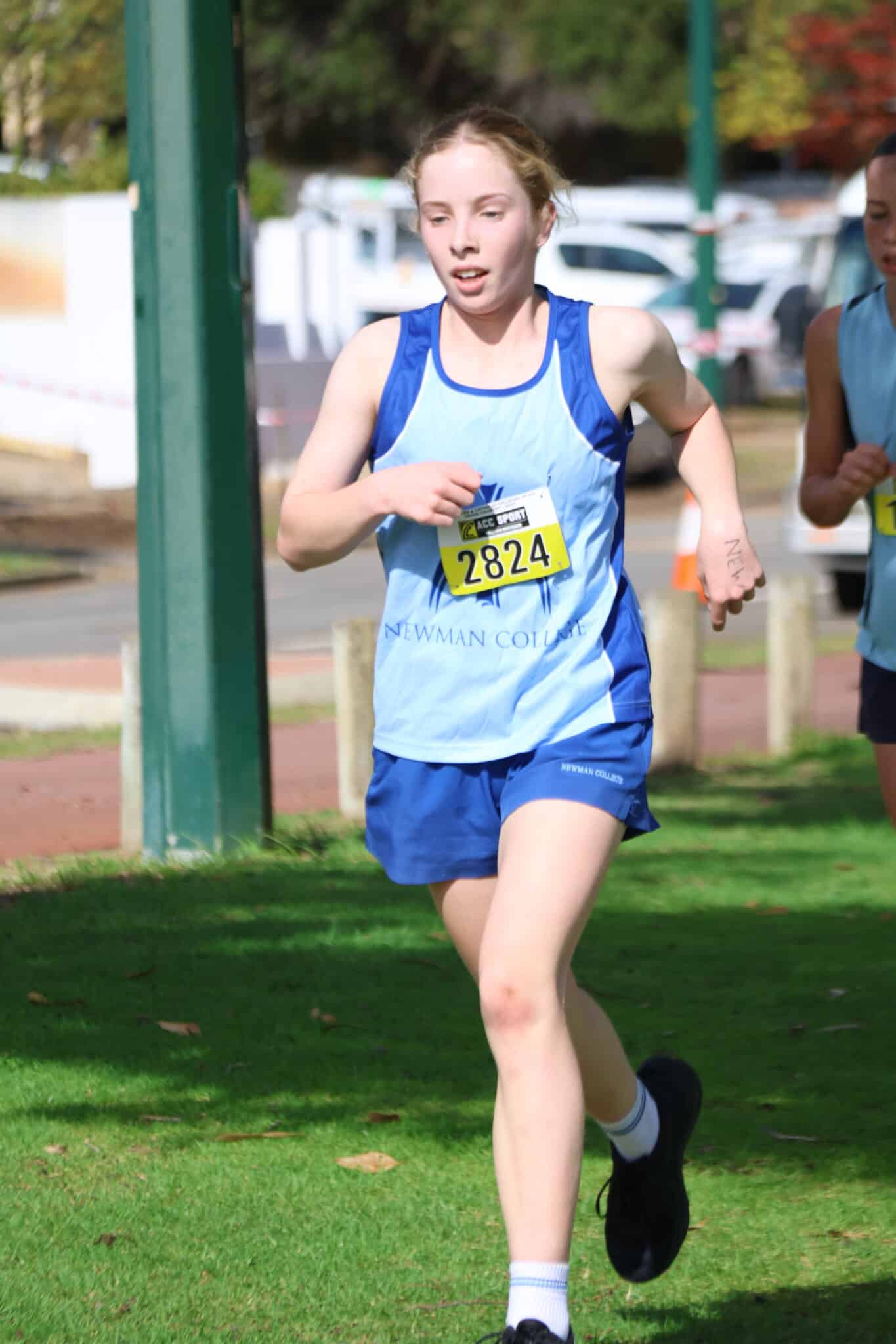 Secondary Update - Term 2 Week 6 - Newman College