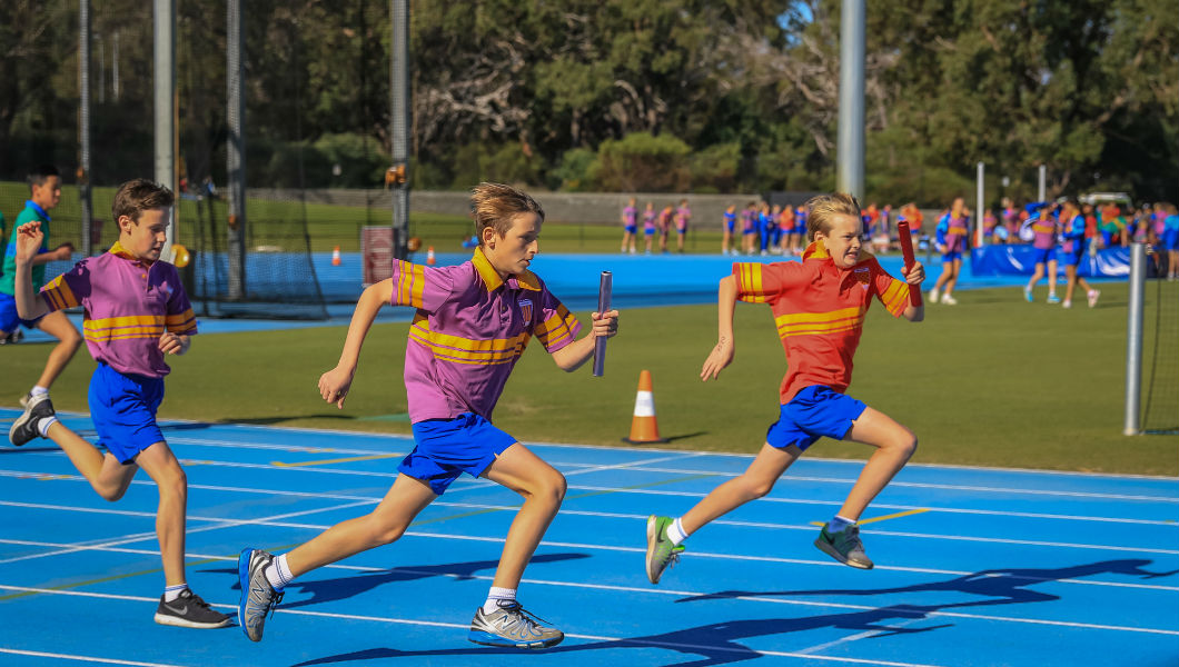 Our school - Newman College