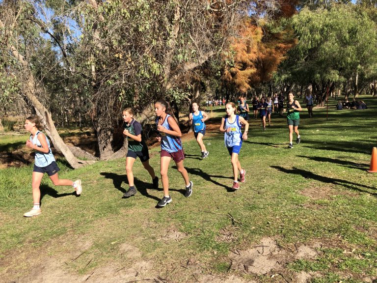 2019 ACC Cross Country Results and Marcellin Sports News - Newman College