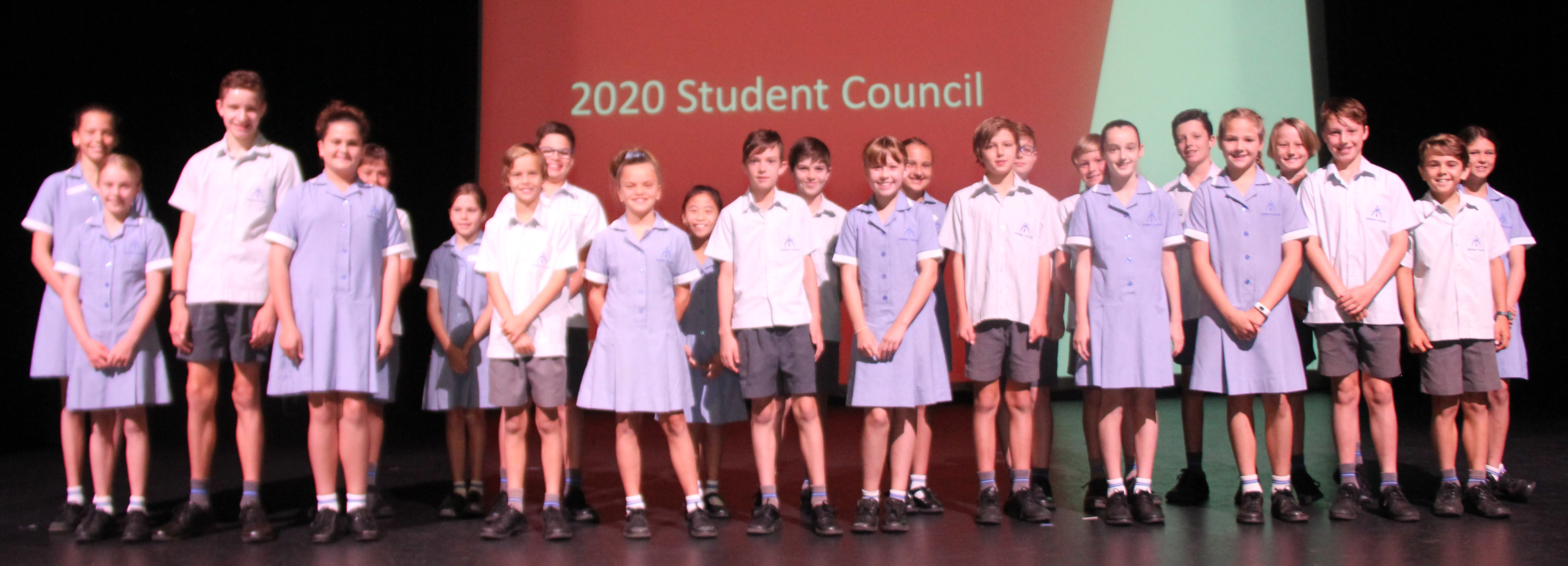 Newman Newbies Term 4 2019: From the Leader of Wellbeing Primary ...