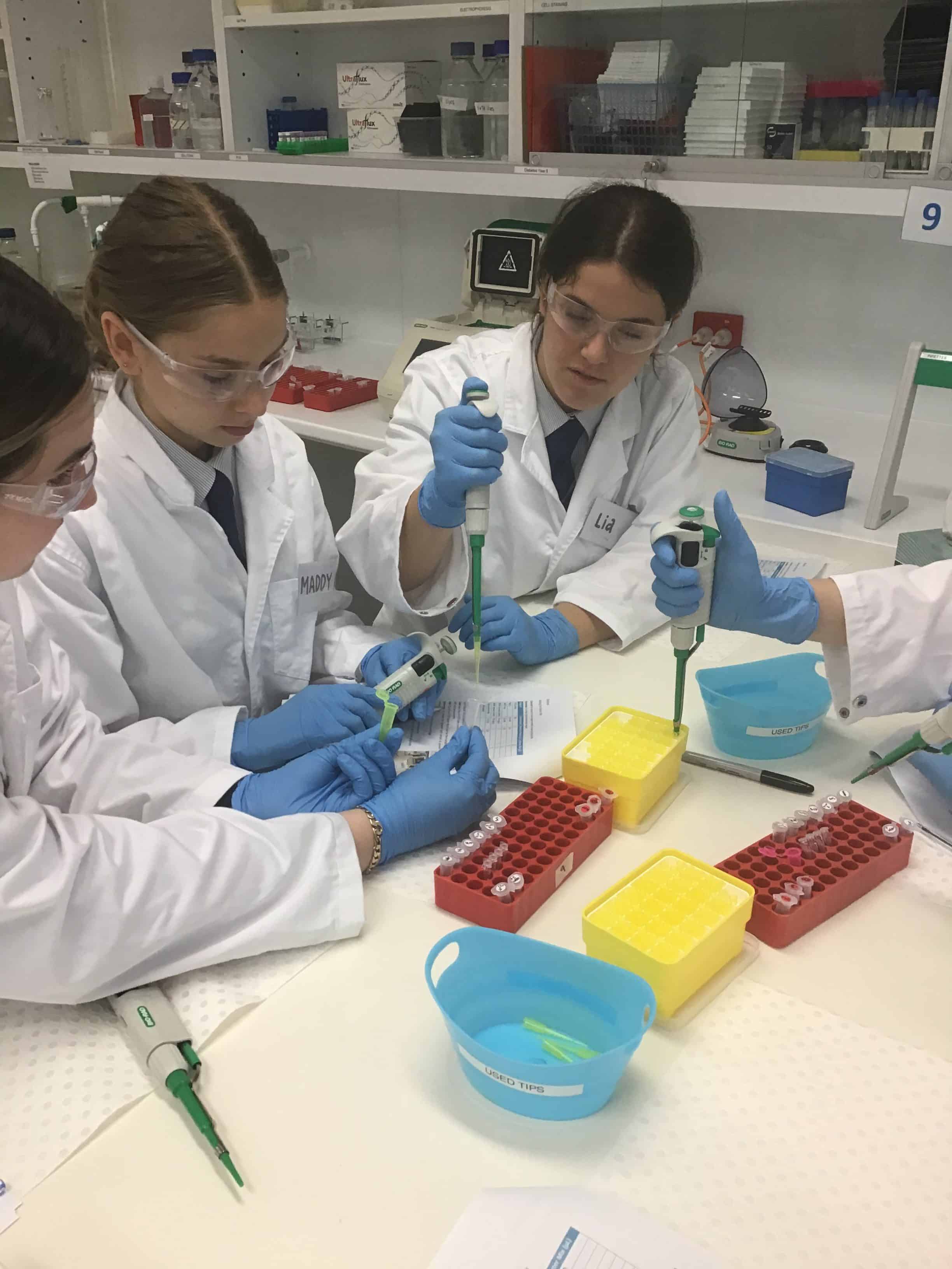 Year 12 Human Biology Visit the BioDiscovery Centre - Newman College