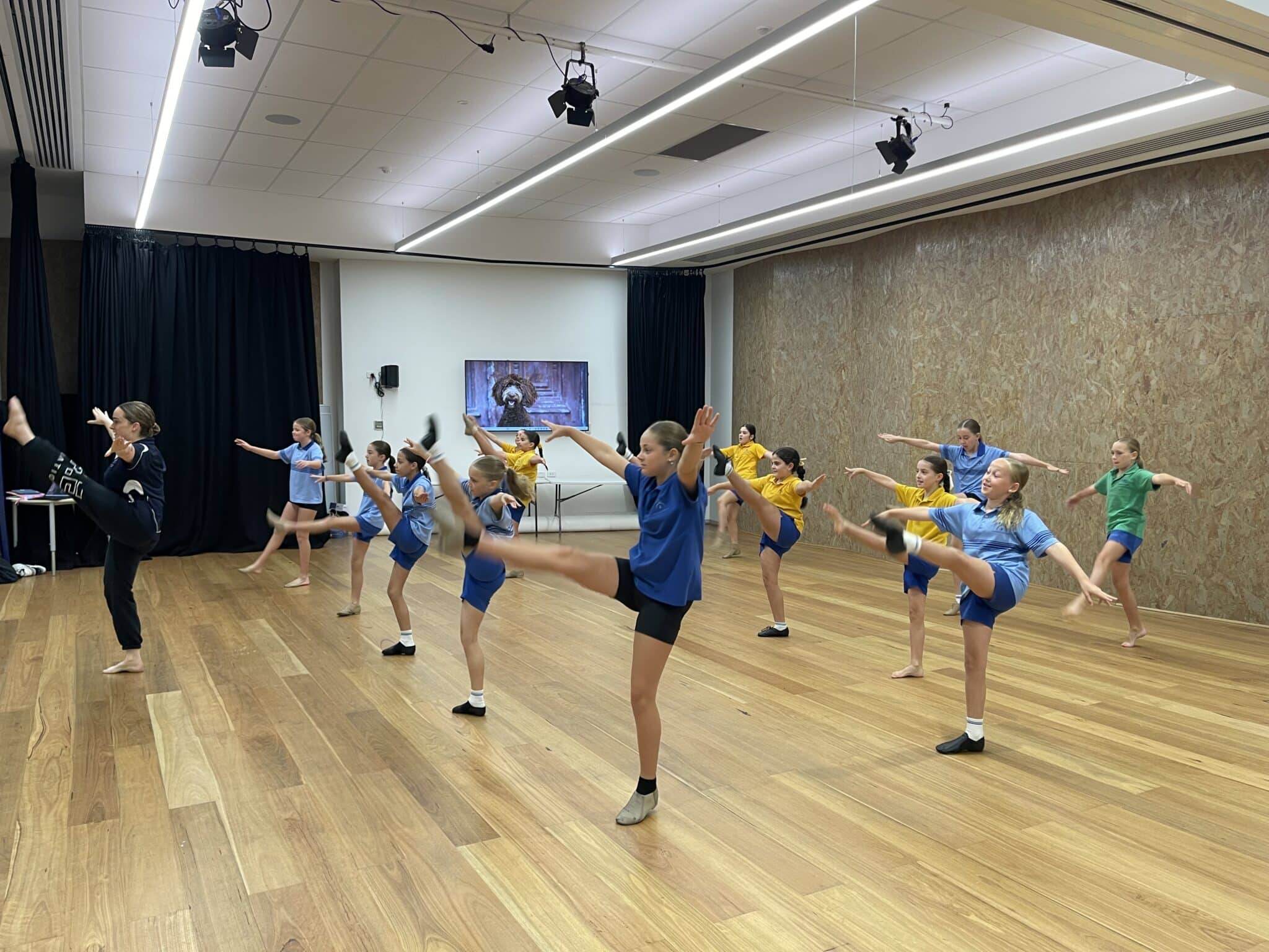 Primary Update - Term 1 Week 6 - Newman College