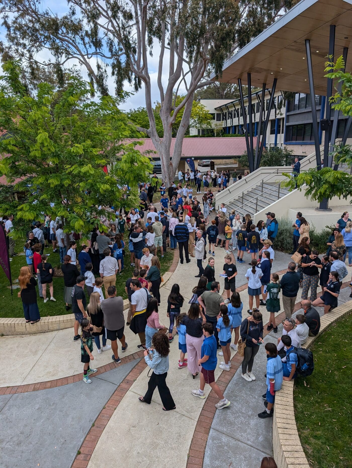 From the Principal - Term 4 Week 6 - Newman College