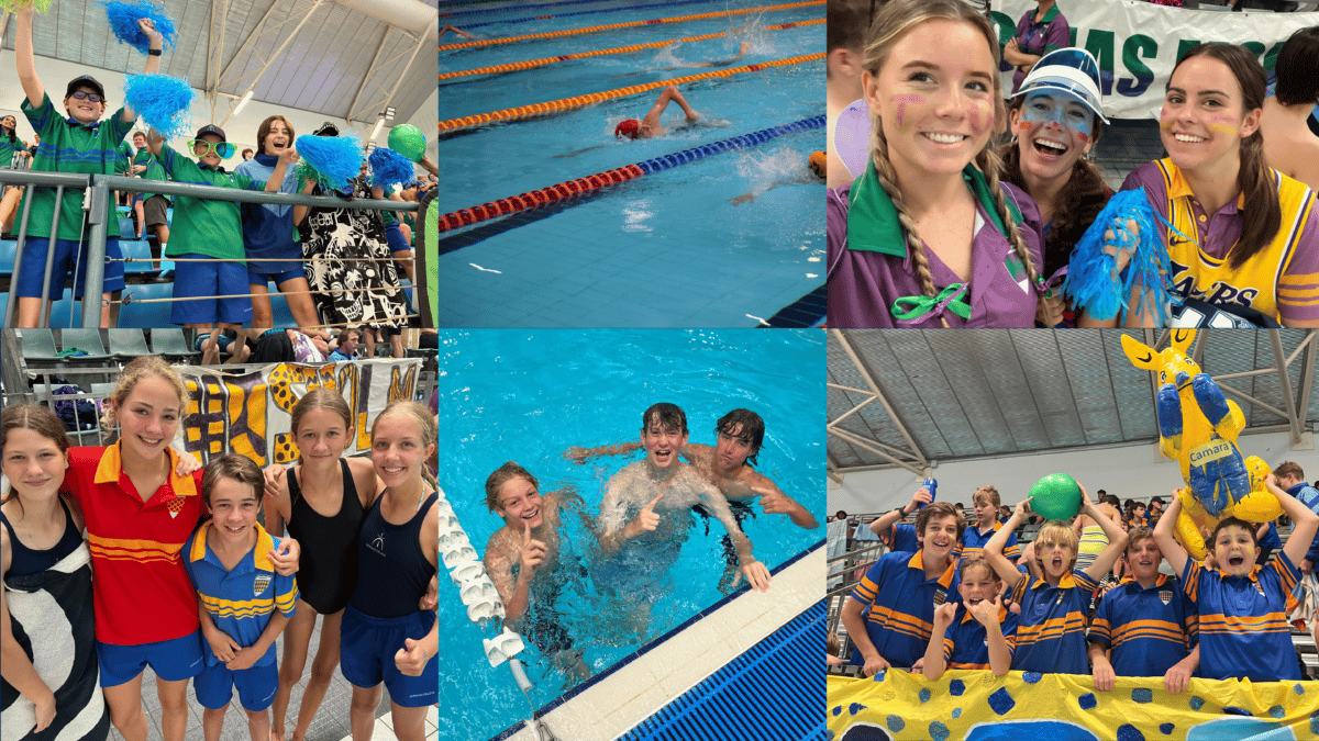 News & Events - Newman College